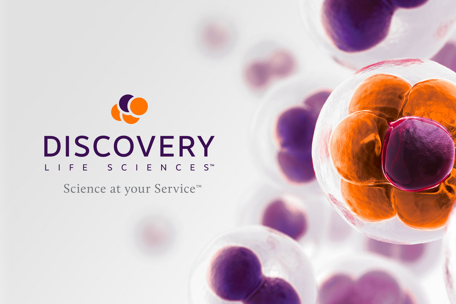 Discovery Life Sciences - Huckster Design
